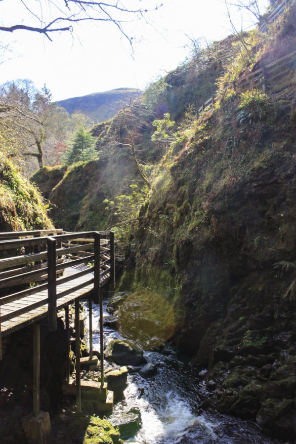 Road Trip en Irlande du Nord - Les Grandes Vadrouilles - Les Baroudettes