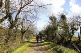 Road Trip en Irlande du Nord - Les Grandes Vadrouilles - Les Baroudettes