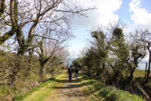 Road Trip en Irlande du Nord - Les Grandes Vadrouilles - Les Baroudettes